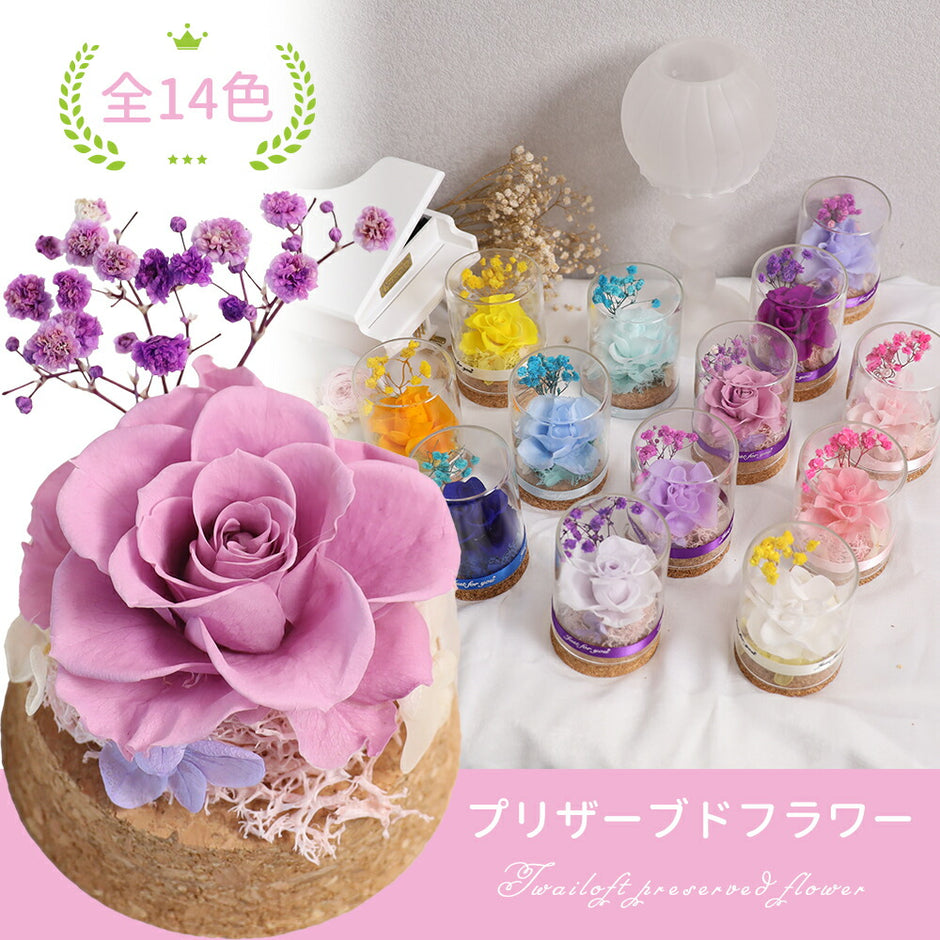 IwaiLoft インテリア・雑貨 – 茶器・コーヒー用品を選ぶ - IwaiLoft